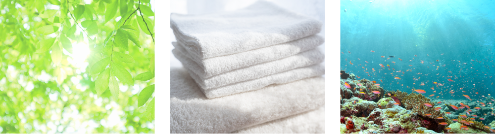 新日本ウエックスのSDGs | 新日本ウエックス（WEX）キレイを、確実に